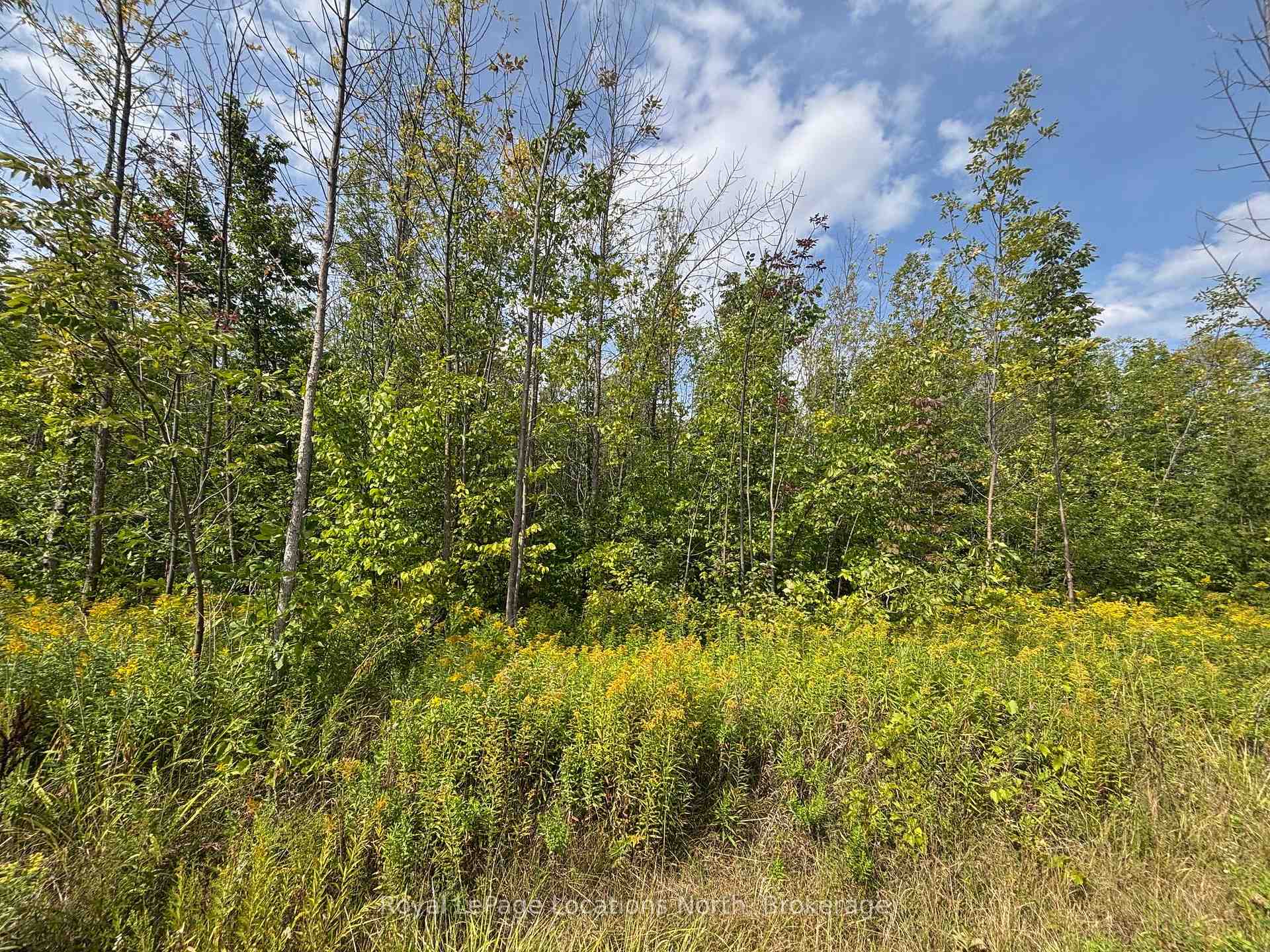 Meaford Real Estate MLS® Listings & Houses For Sale