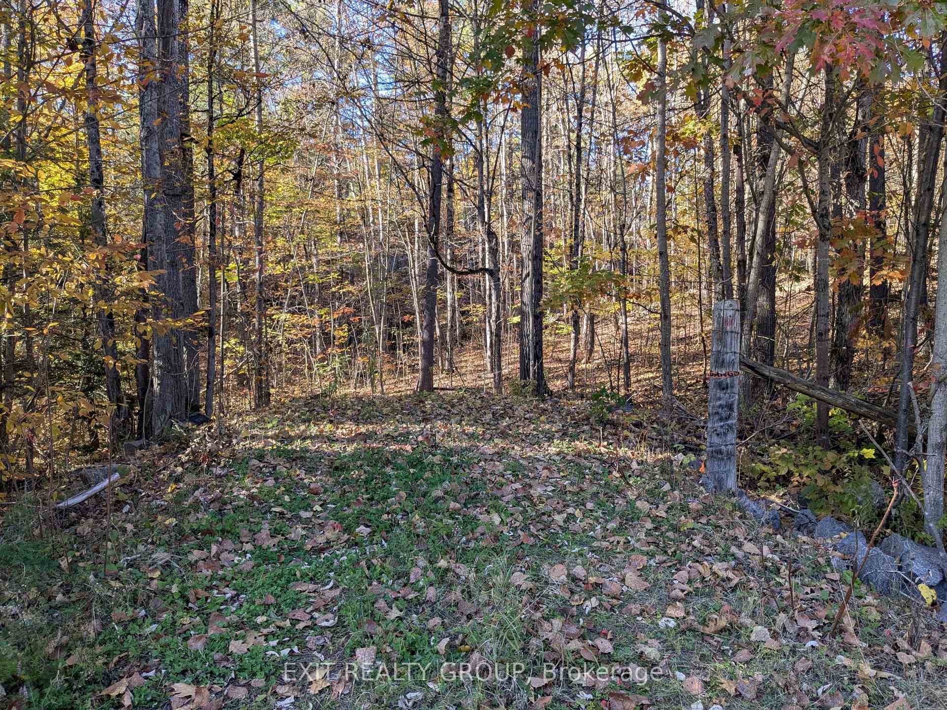 0 Flinton Road, Tweed, ON K0K 3J0