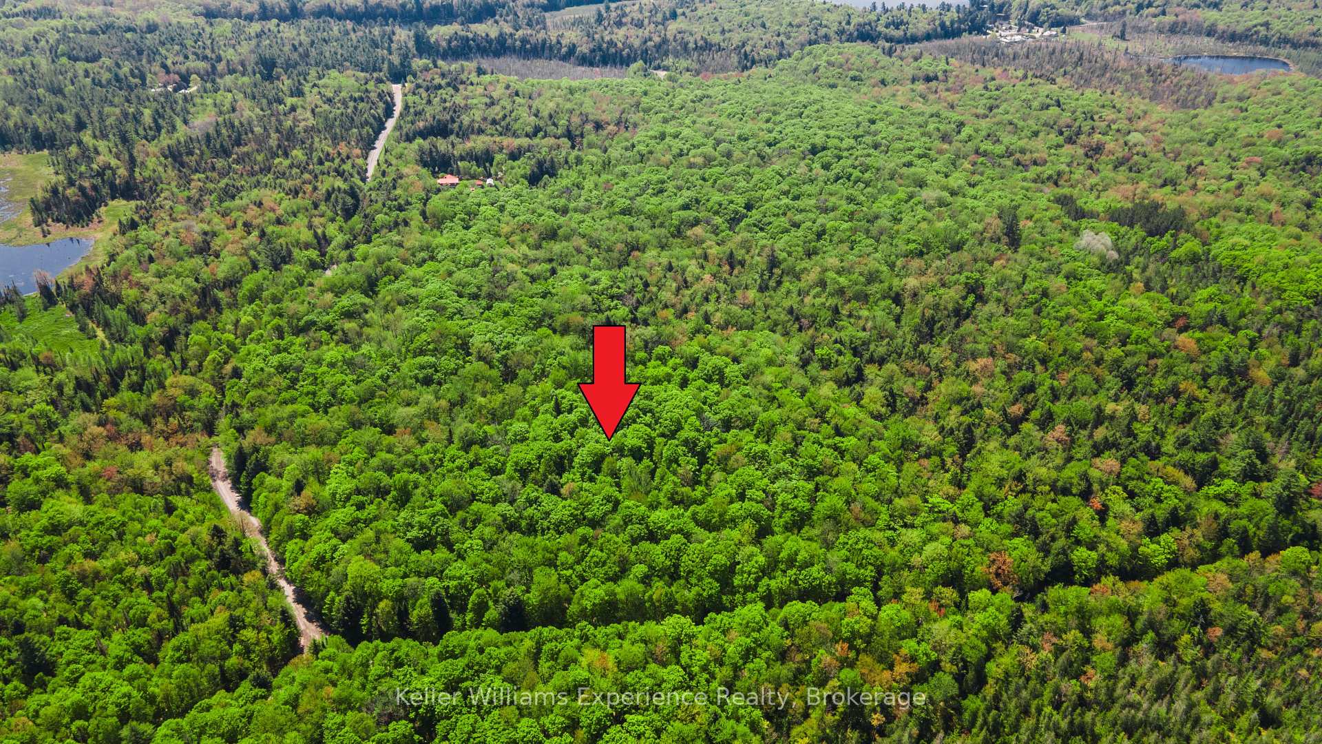 0 Healey Lake Road, Bracebridge, ON P1L 1X3