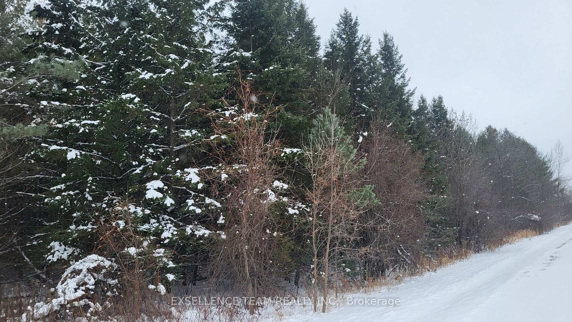 South Stormont Real Estate MLS® Listings & Houses For Sale