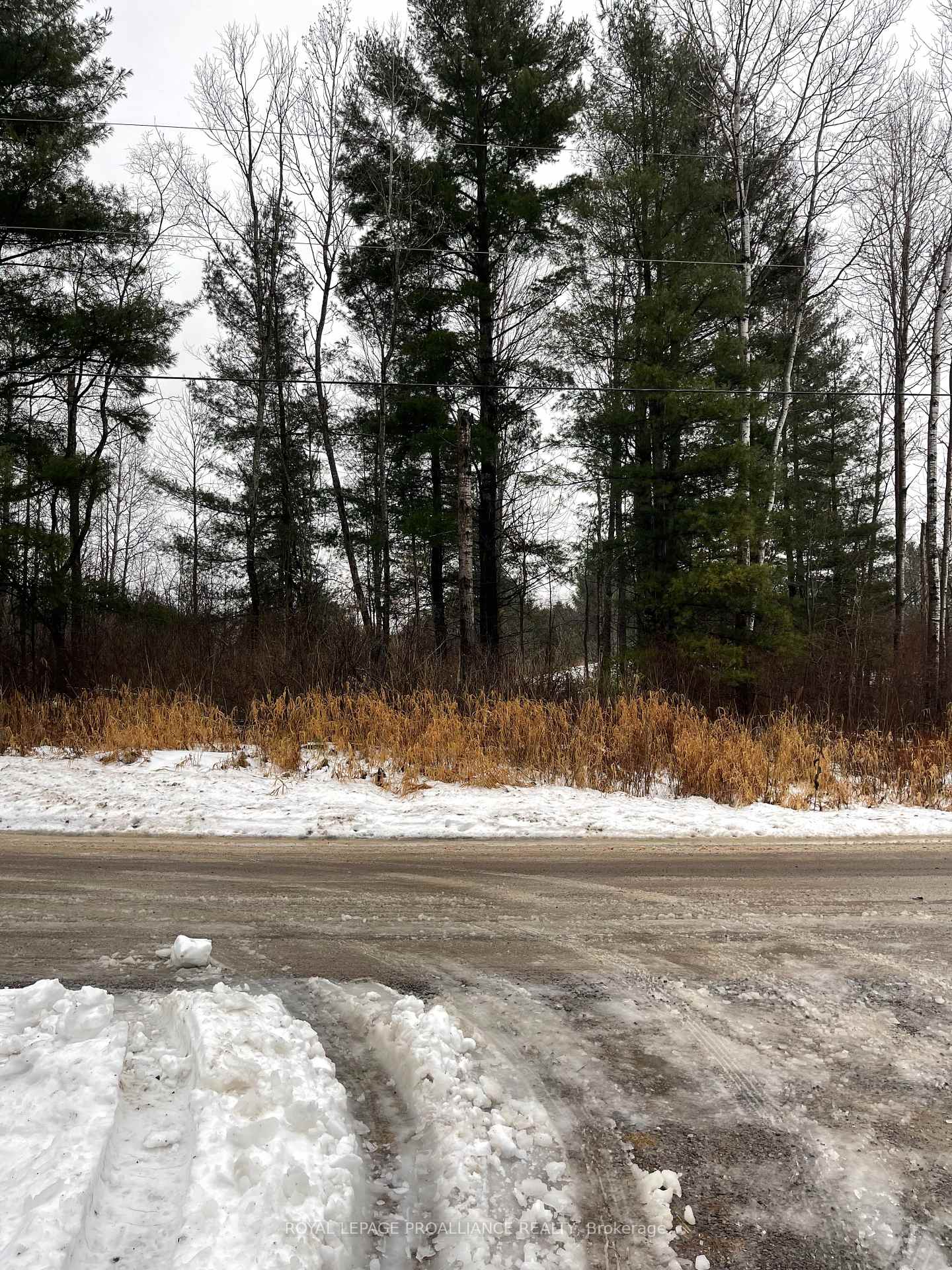 000 Otter Creek Road, Tweed, ON K0K 3J0