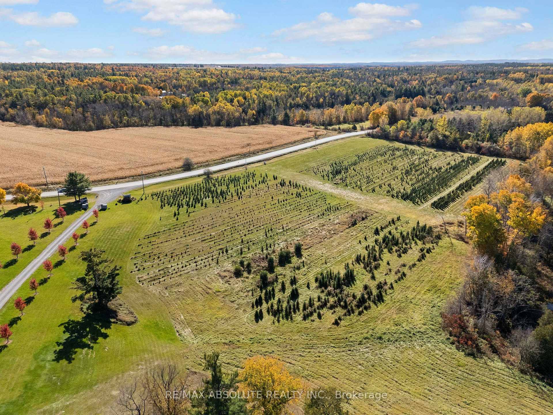 StateOrProvince] [PostalCode]