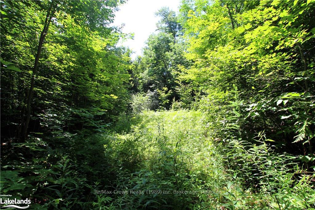 0A 20TH SIDE RD, Parry Sound Remote Area, ON P0H 1Y0