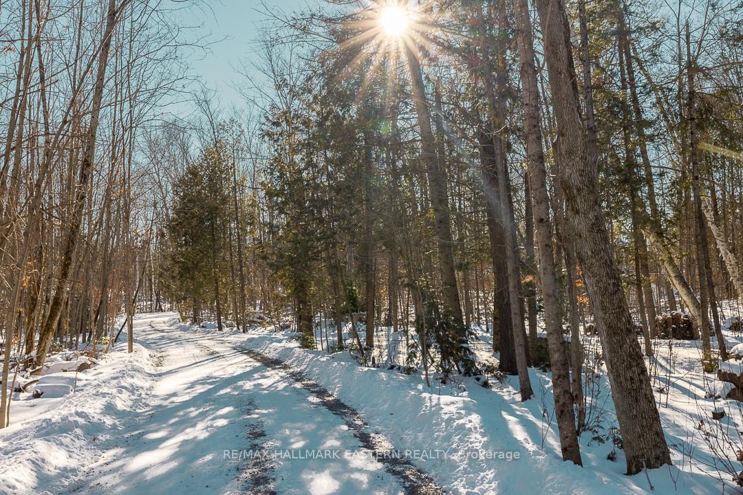 1030 Birchview Road, Douro-Dummer, ON K0L 2H0