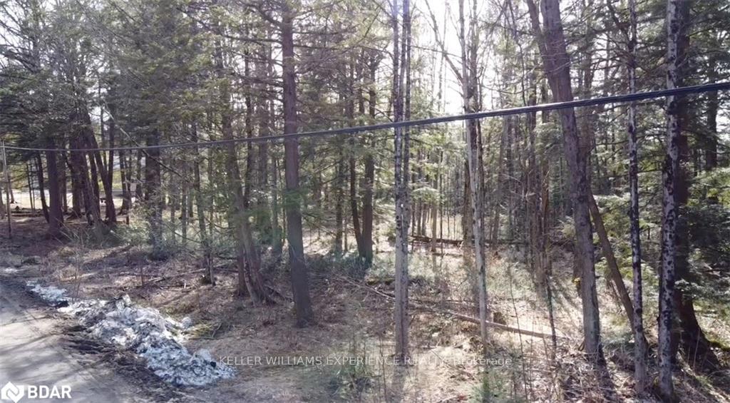 1042 Art Crisp Road, Gravenhurst, ON P0E 1N0