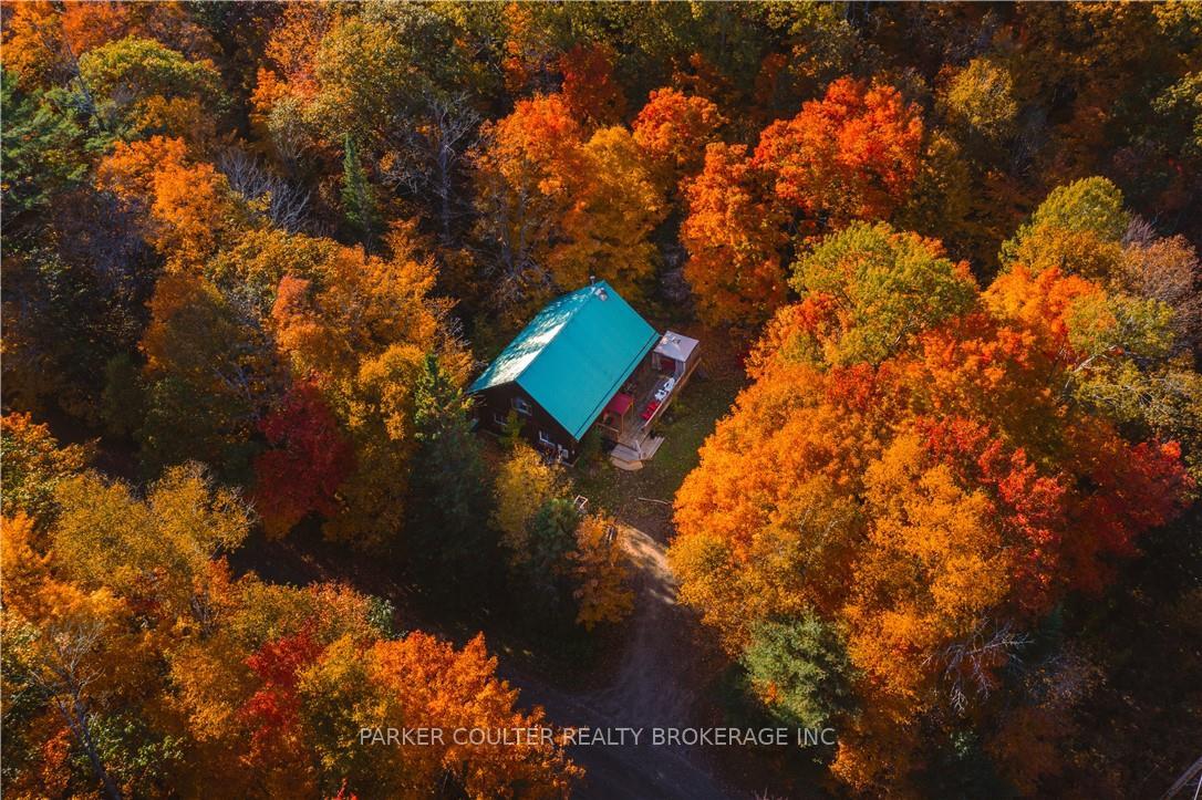 1046 Pine Springs Road, Minden Hills, ON K0M 2K0