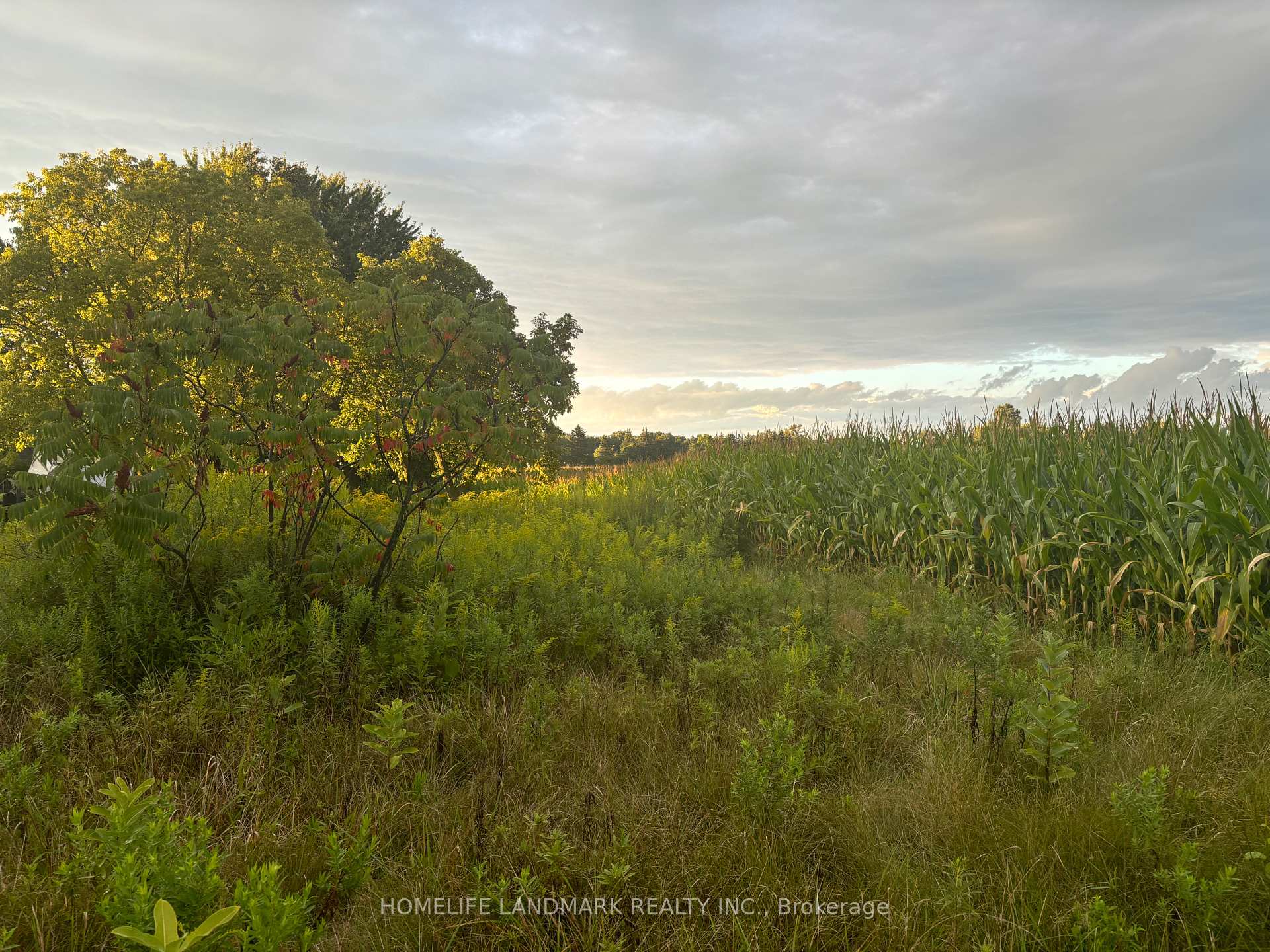 1148 Blueline Road, Norfolk, ON N3Y 4K4