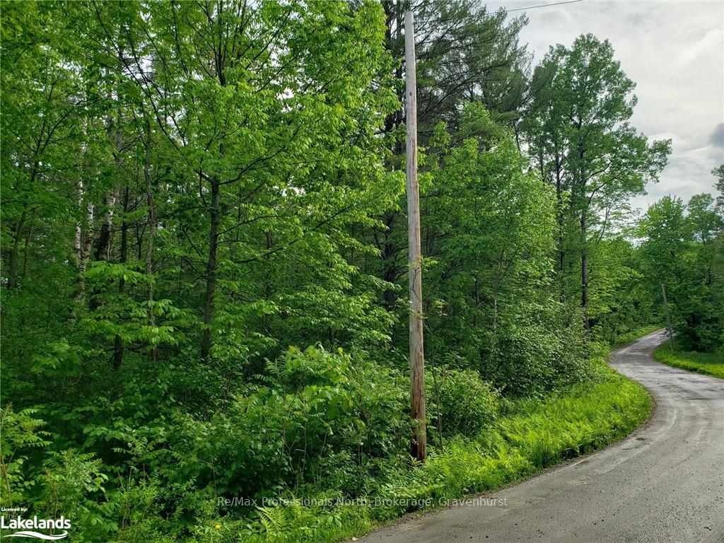 1185 SAM COOK Road, Gravenhurst, ON P1P 1R3