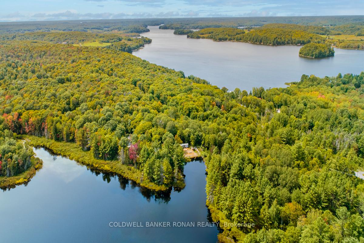 1187 Windermere Road, Muskoka Lakes, ON P0B 1M0