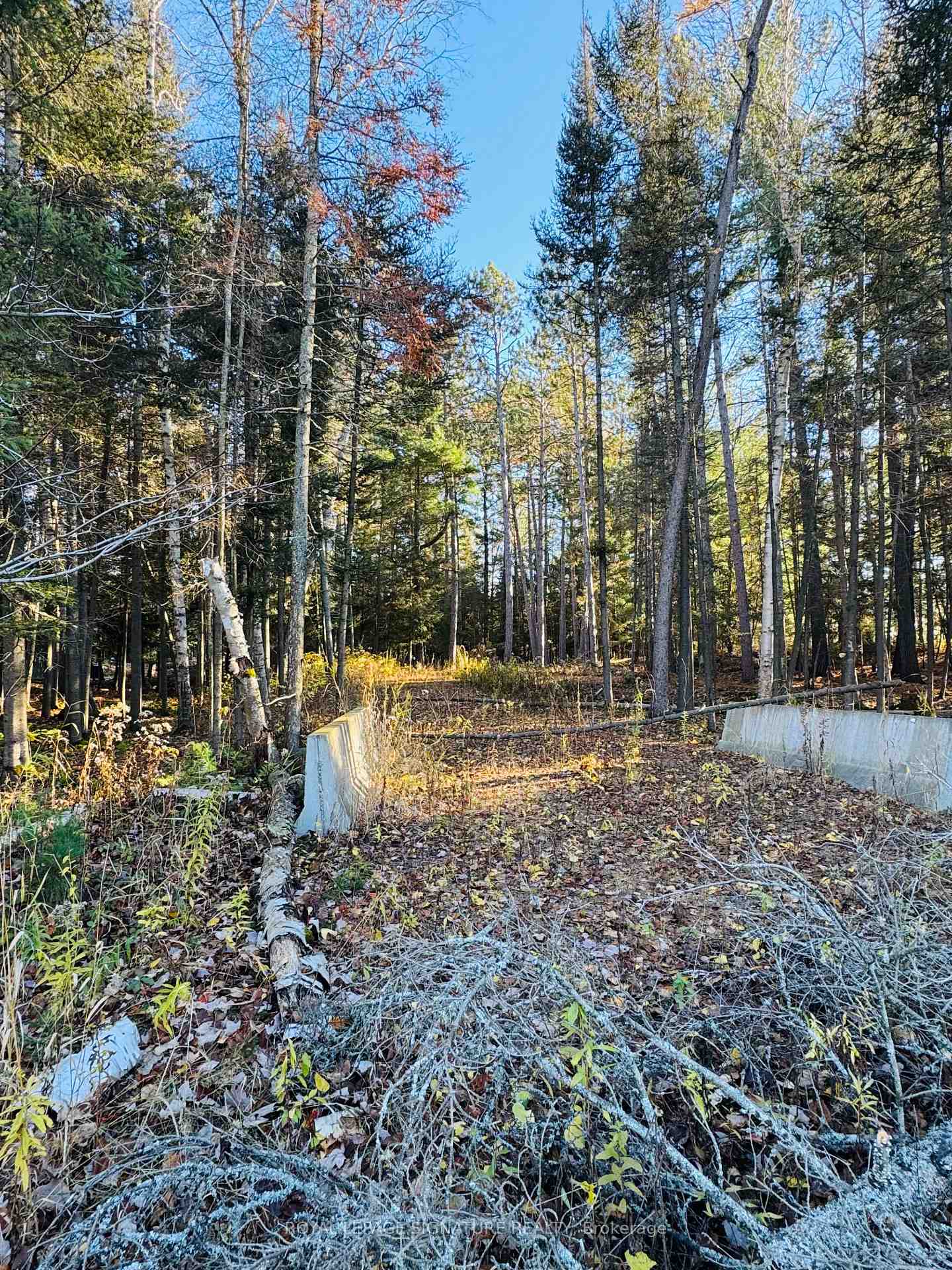 North Bay Real Estate MLS® Listings & Houses For Sale