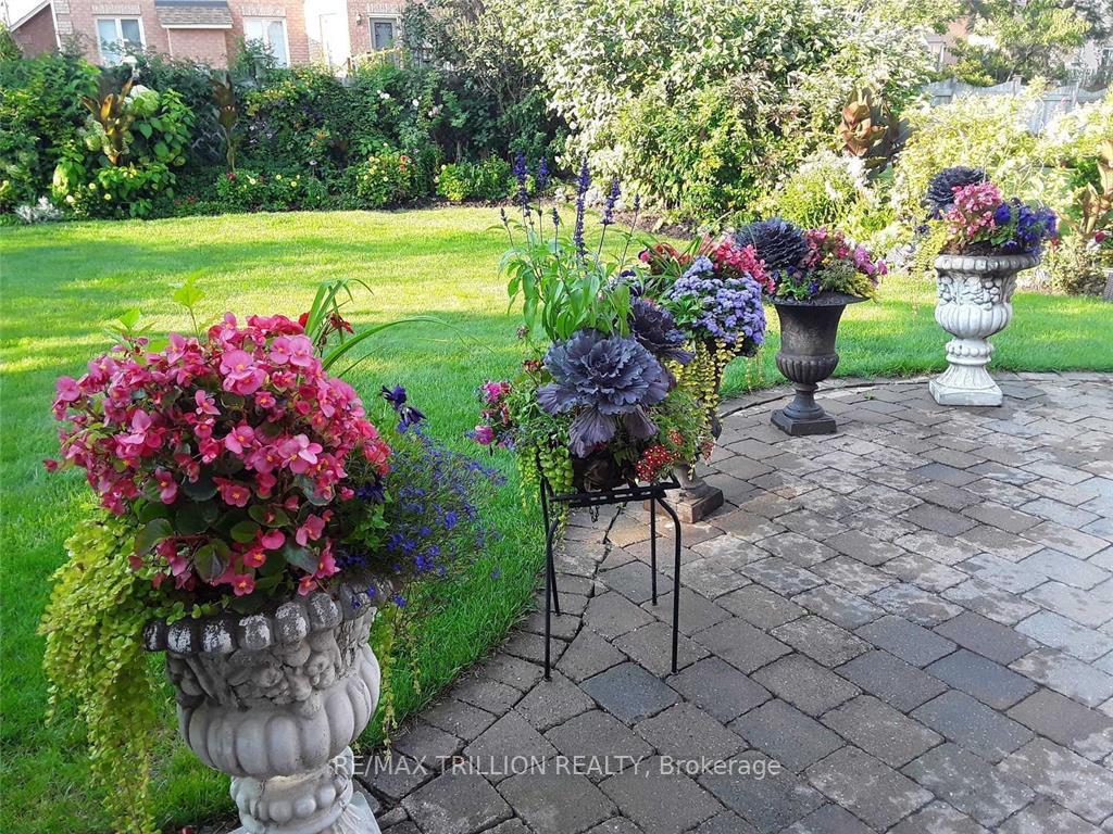 Bsmt - 14 Greenhill Avenue, Richmond Hill, ON L4B 3W3