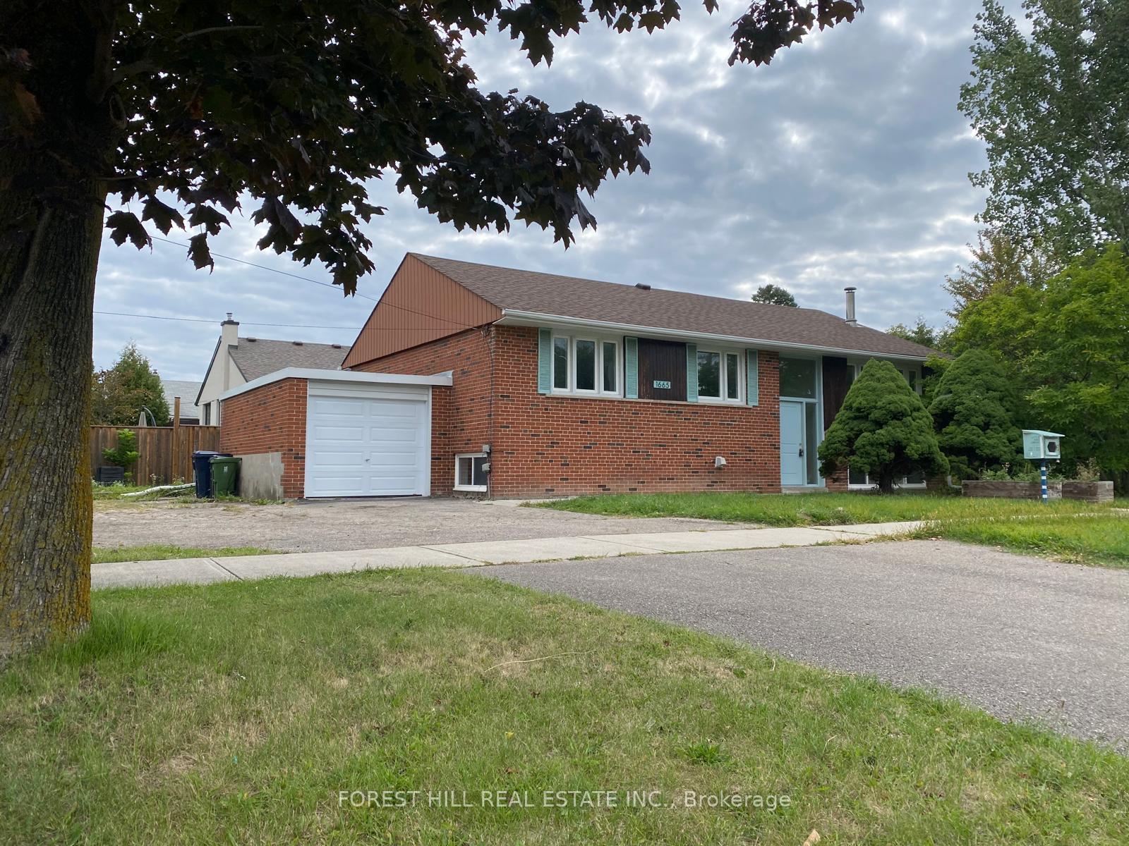 LOWER - 1665 Kipling Avenue, Toronto, ON M9R 2Y4