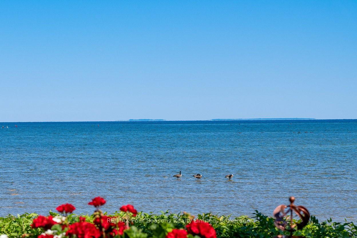 17 - 44 Trott Boulevard, Collingwood, ON L9Y 5B7