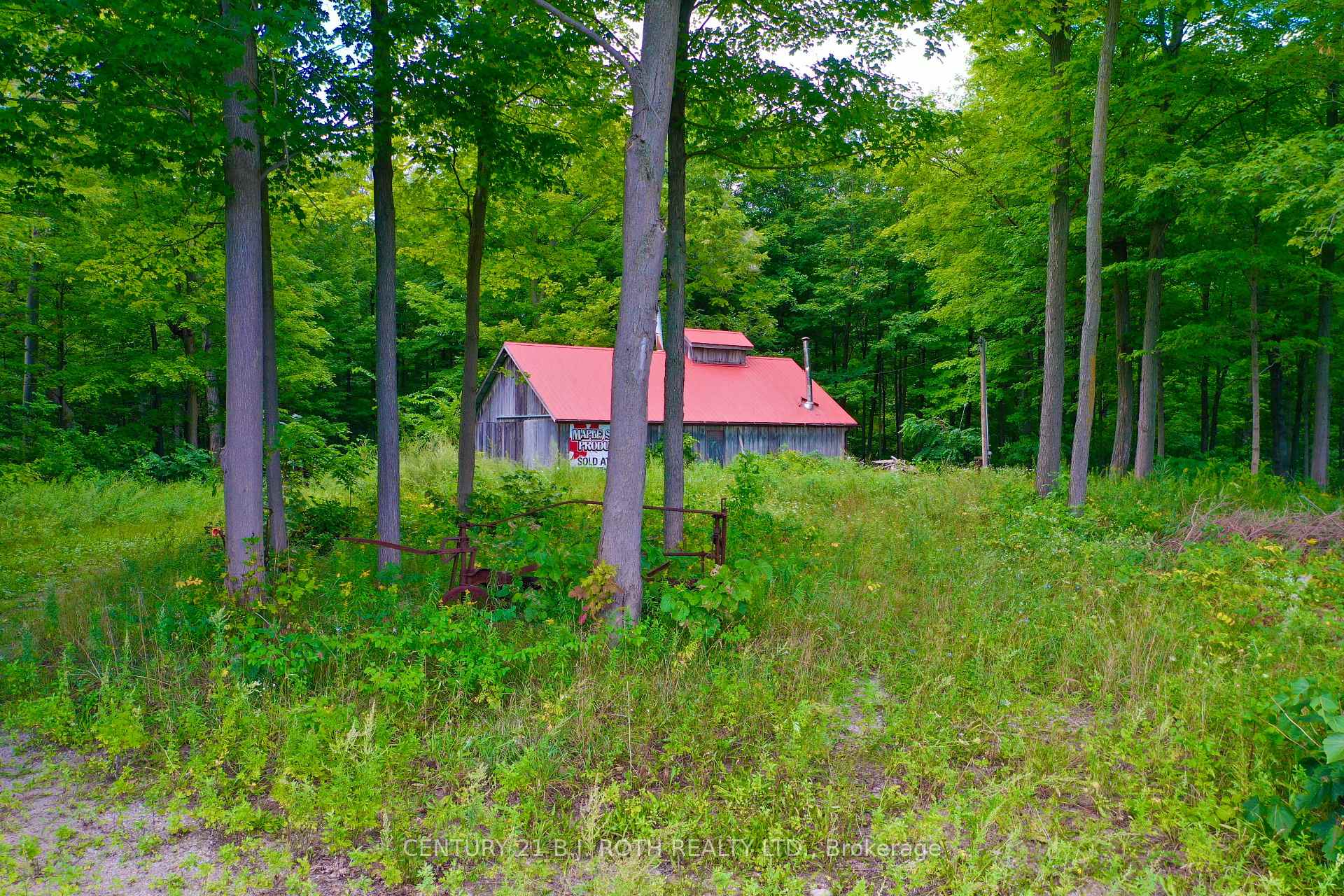 1936 Highway 11, Oro-Medonte, ON L0L 2L0