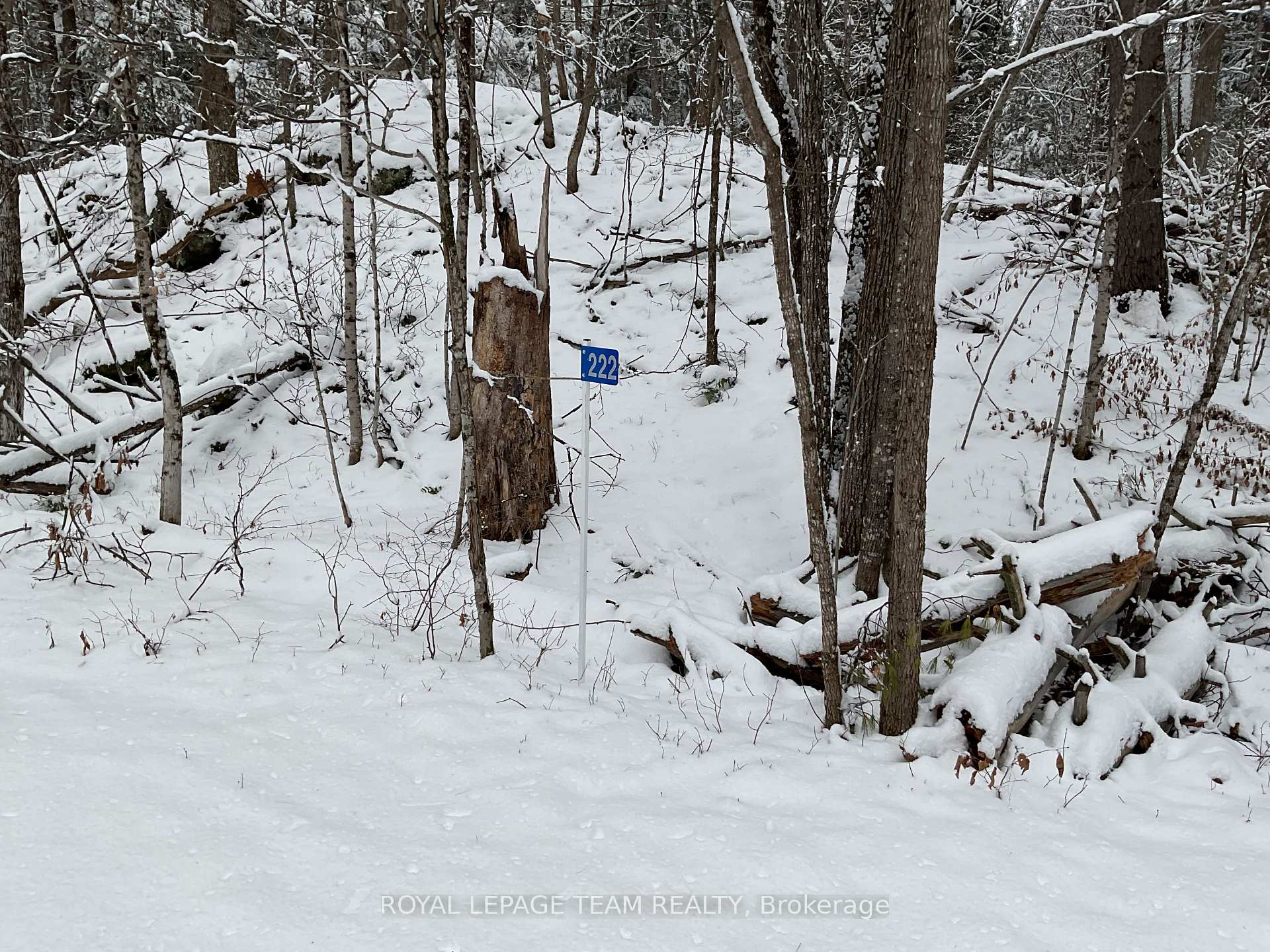 222 Harding Road N, Lanark Highlands, ON K0A 1A0