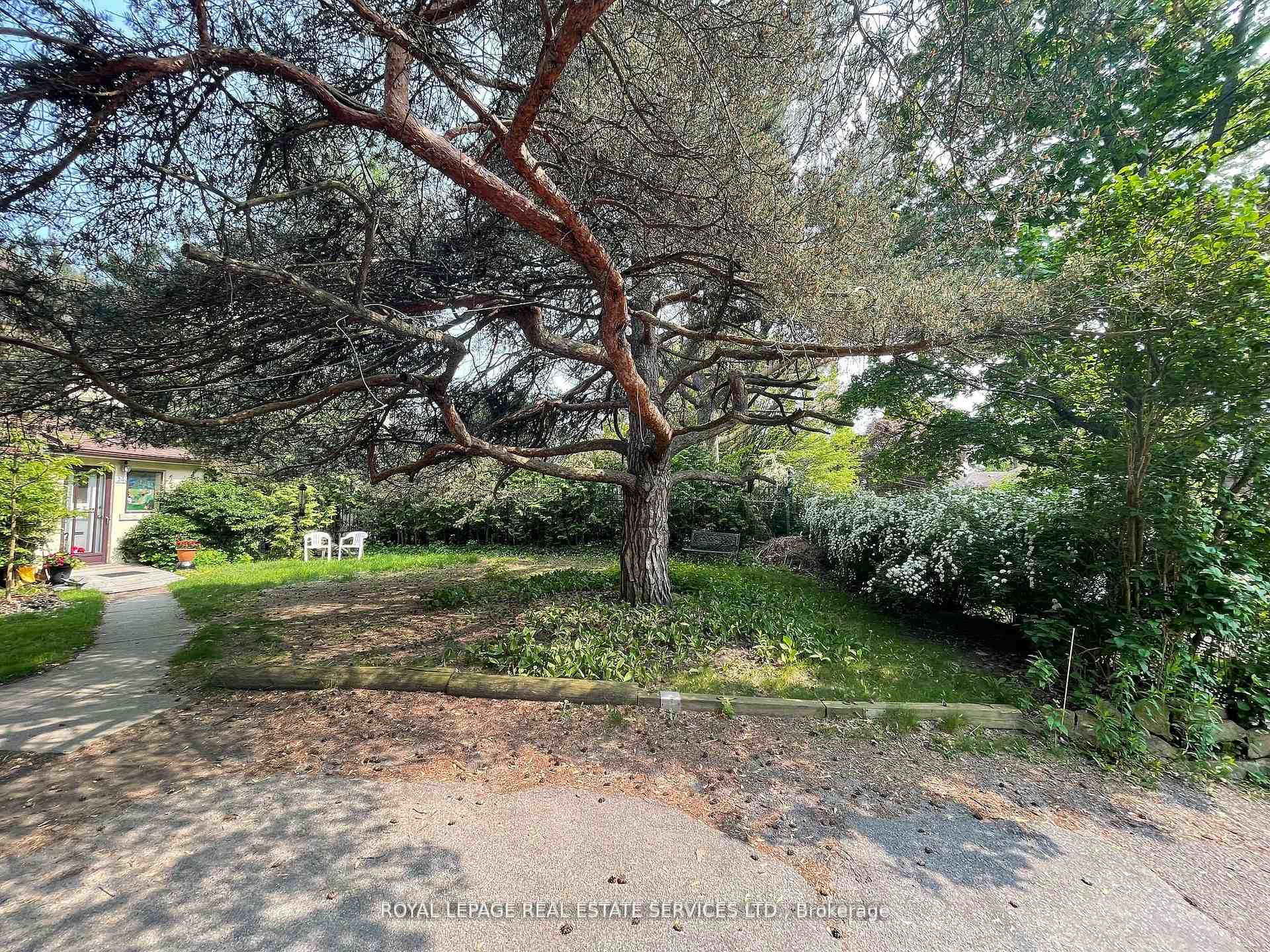 Upper - 239 Ellis Avenue, Toronto, ON M6S 2X4