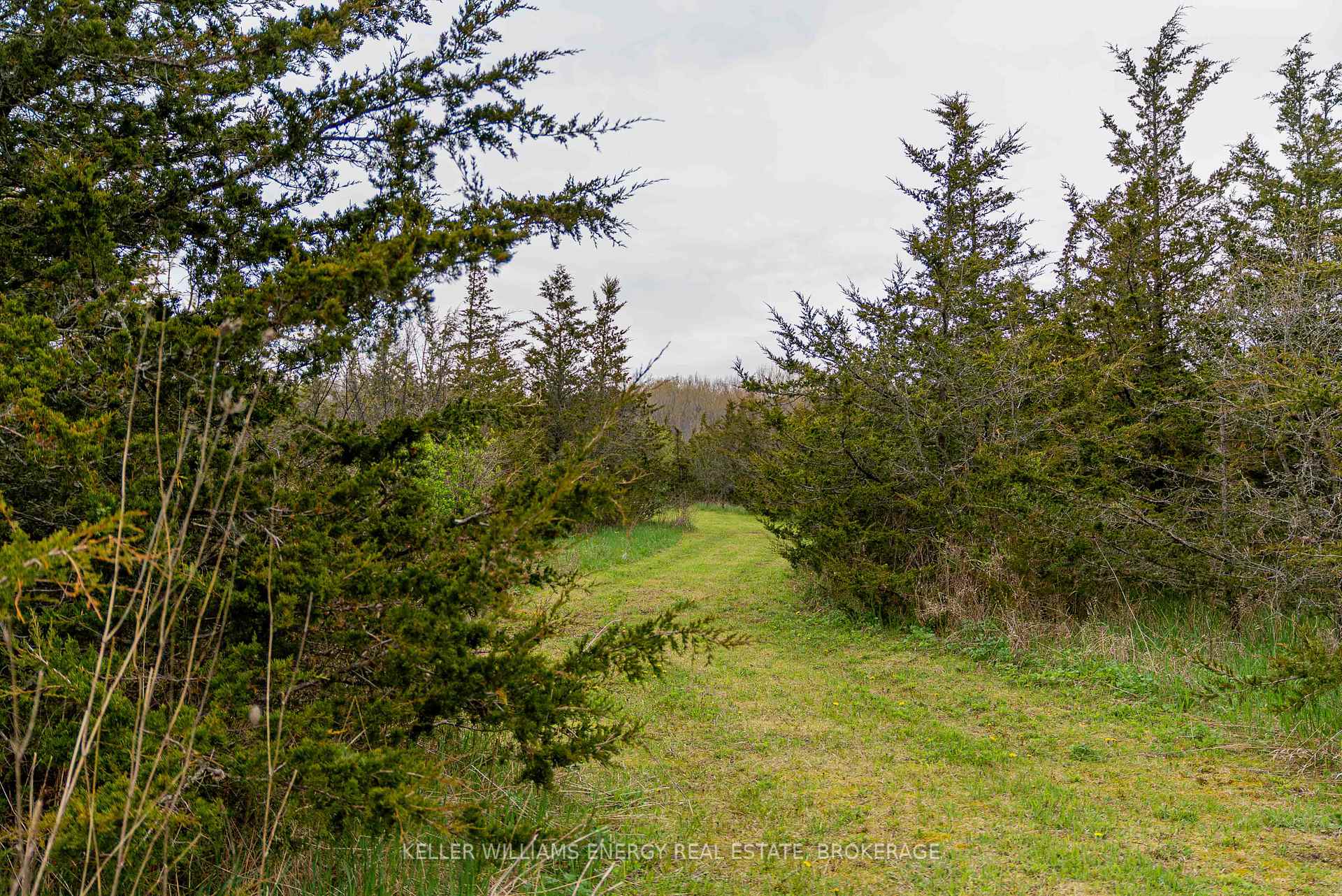 242 Kelly Road, Prince Edward County, ON K0K 1P0