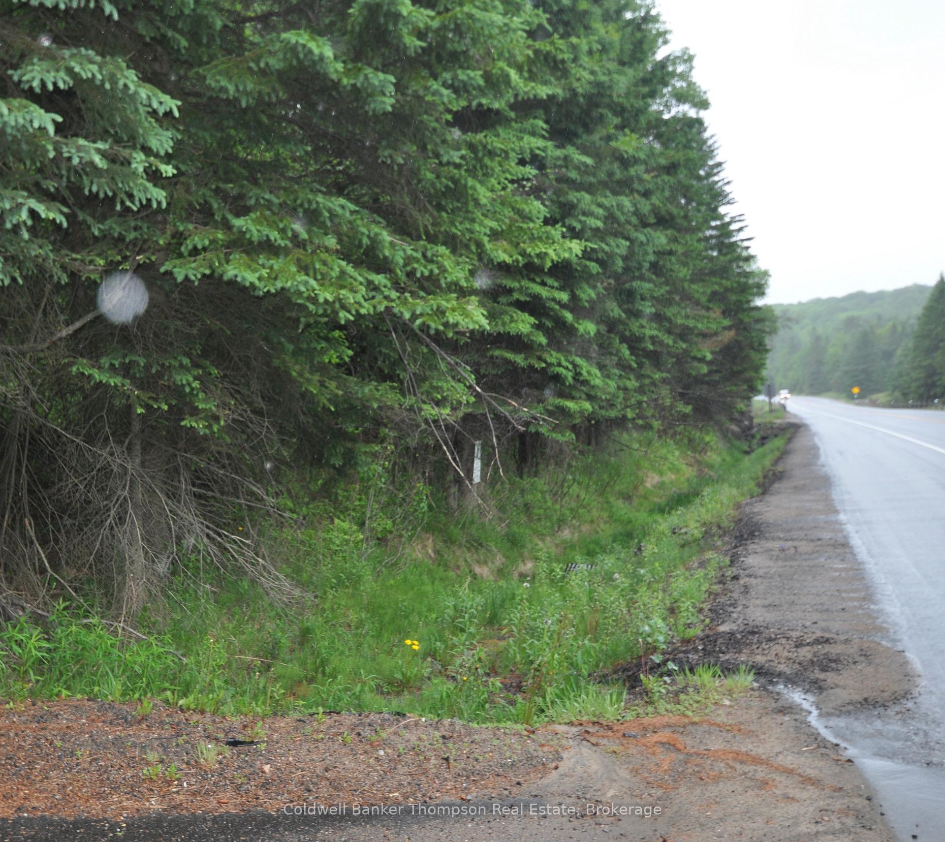 2818 Highway 60 Highway, Lake of Bays, ON P0A 1H0