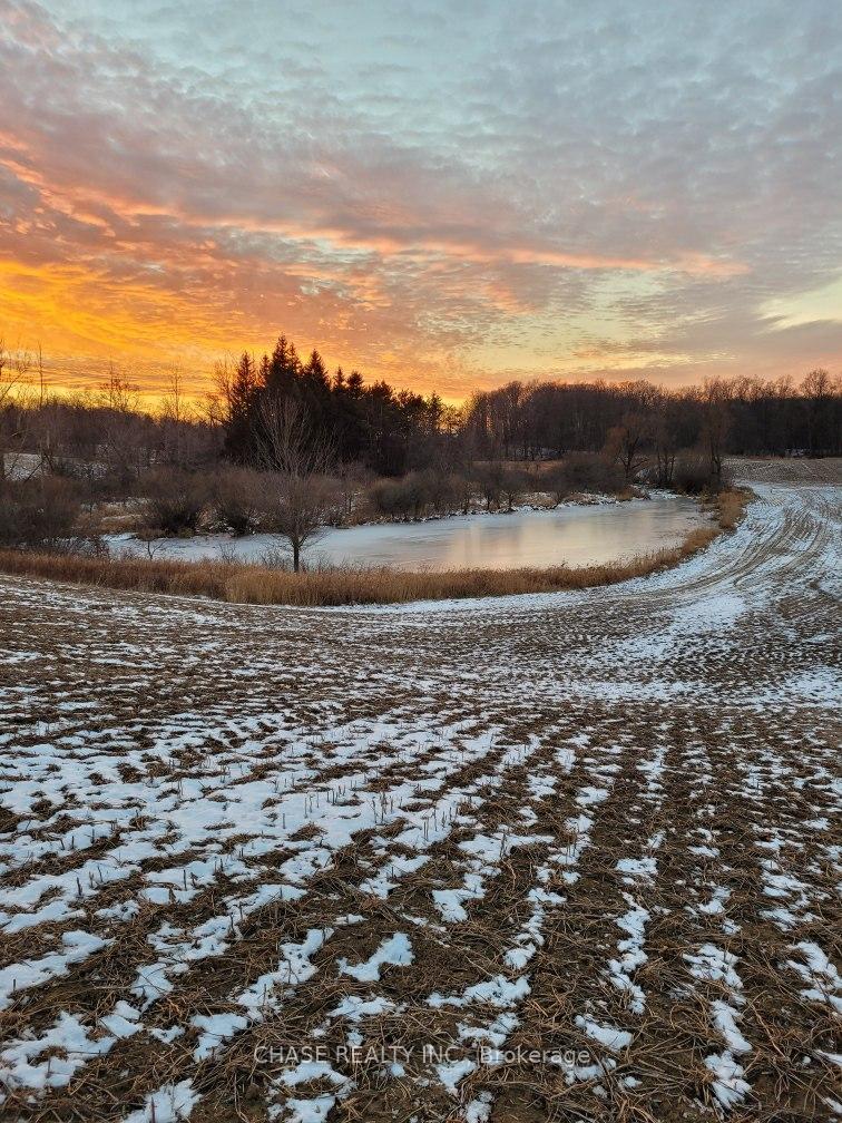 29 Unity Side Road, Haldimand, ON N3W 1M4