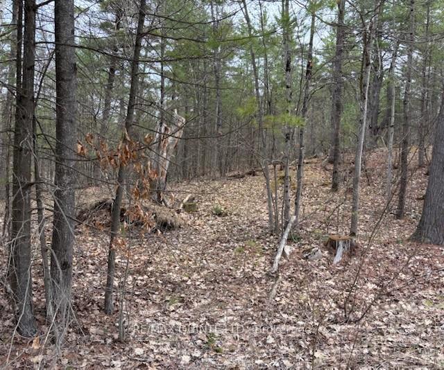 325 BRIDGEWATER Road, Tweed, ON K0K 2K0