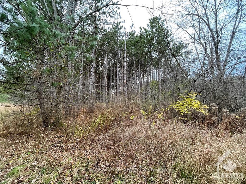 3322 GREENLAND Street, Constance Bay - Dunrobin - Kilmaurs - Woodlawn ...