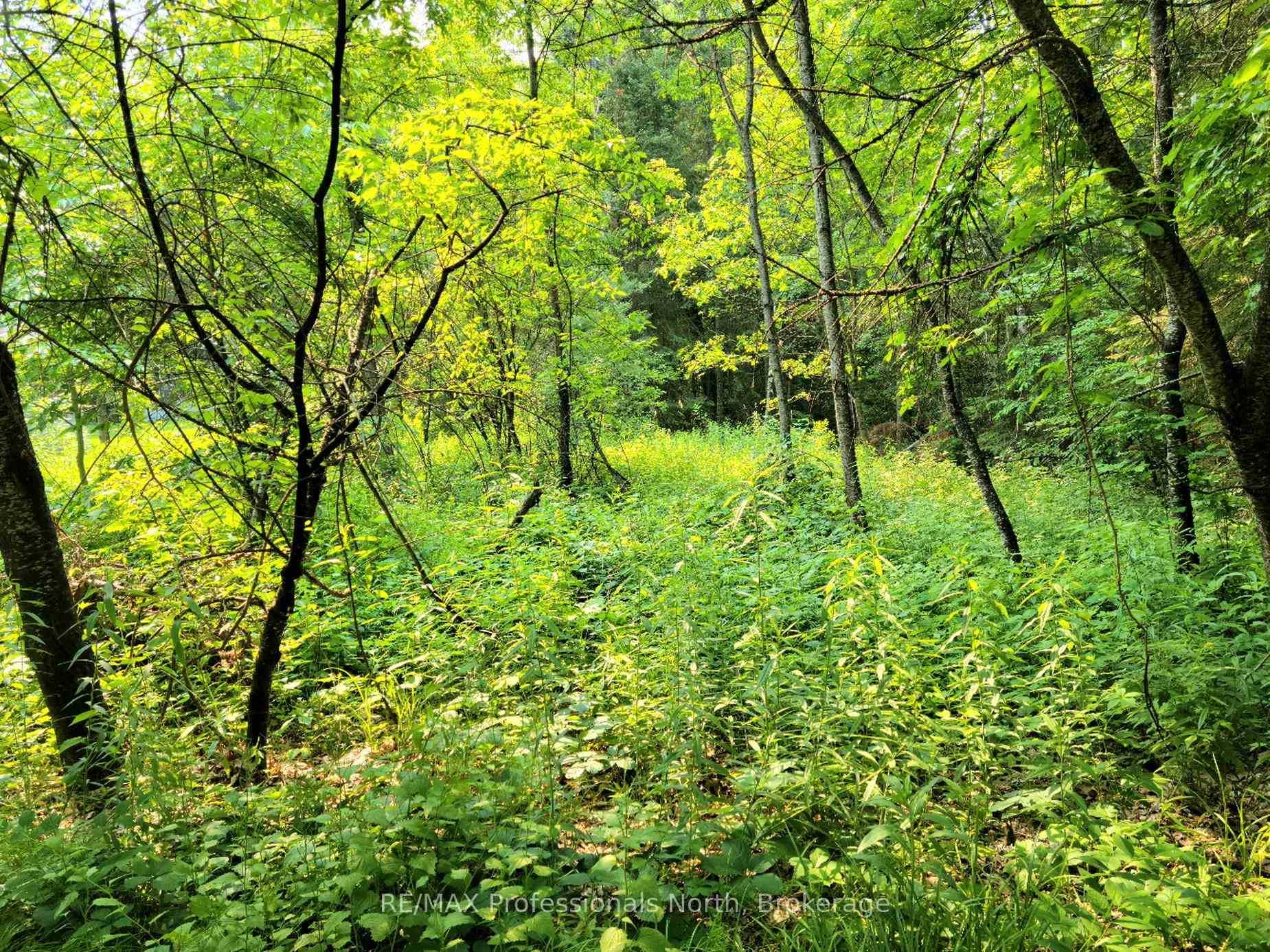 26 - 35 MOUNT VERNON Trail, Huntsville, ON P1H 1E3