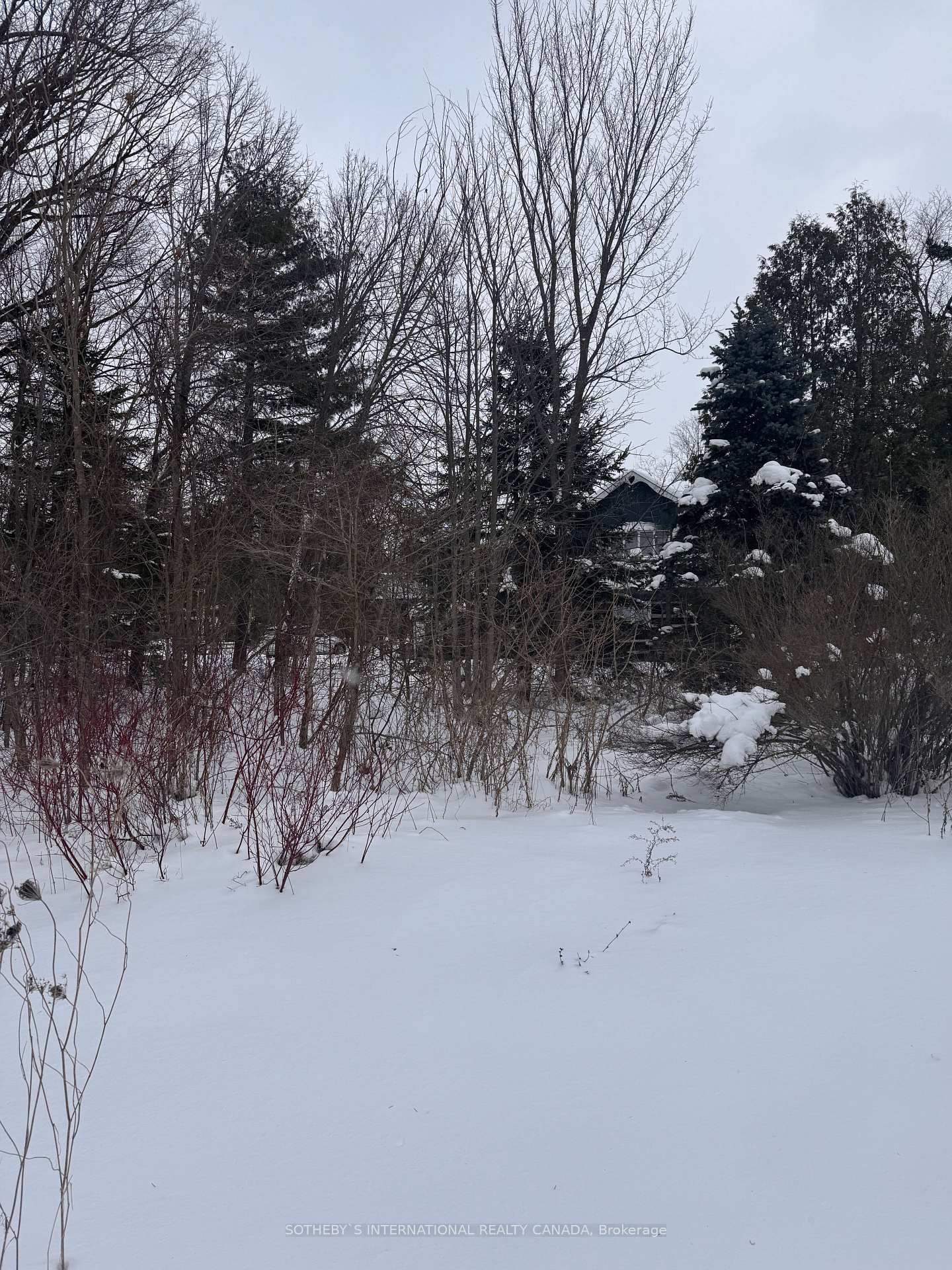 39 Pine River Crescent, Mulmur, ON L0N 1M0