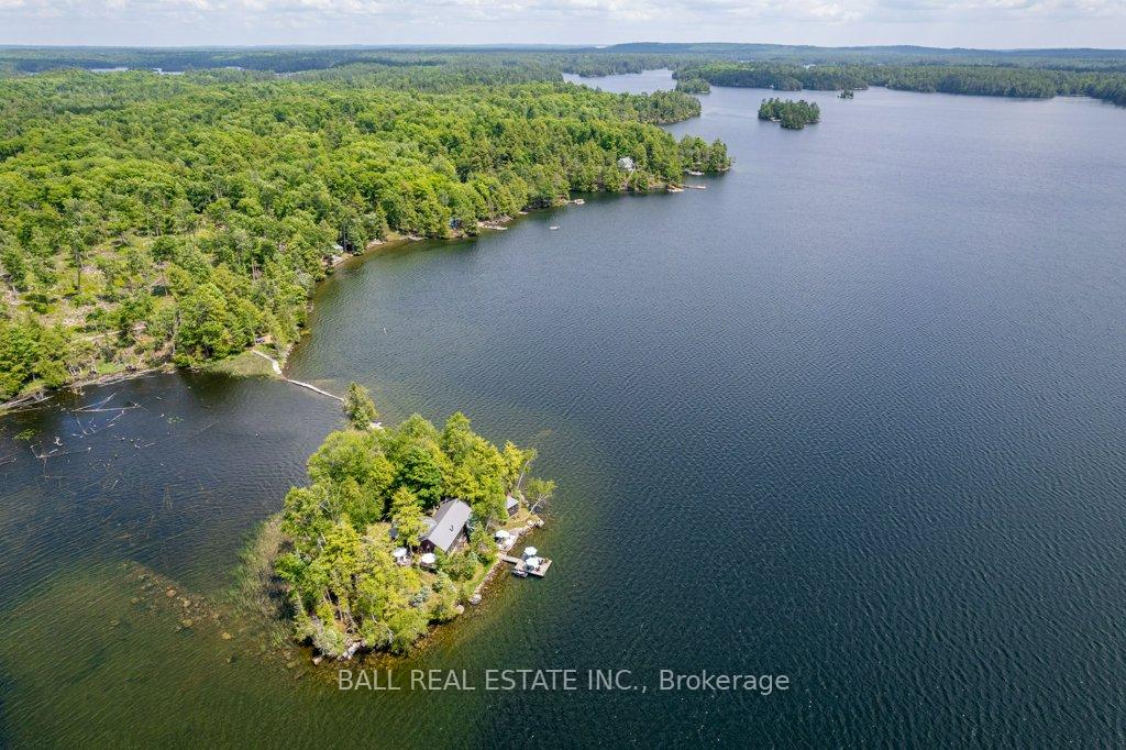 40 Fire Route 89E, North Kawartha, ON K0L 1A0