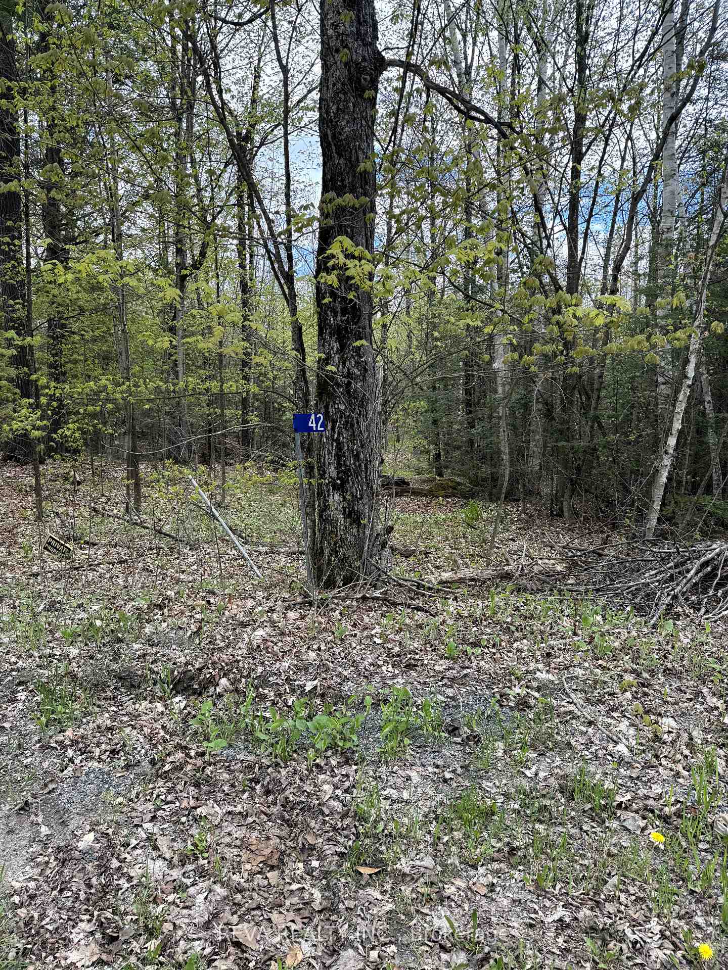 42 Clear Lake Court, Marmora and Lake, ON K0L 1W0