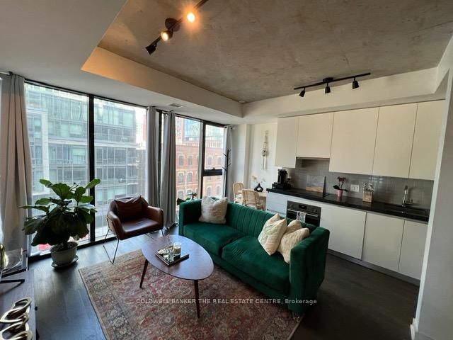 423 - 629 King Street W, Toronto, ON M5V 0G9