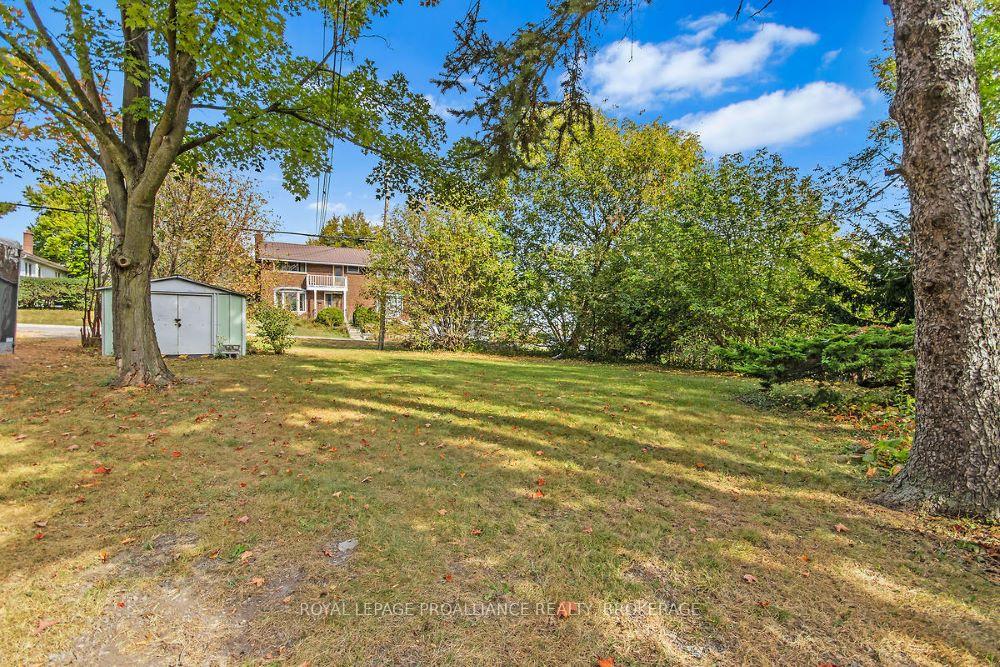 6 Herbert Street, Kingston, ON K7M 2L4