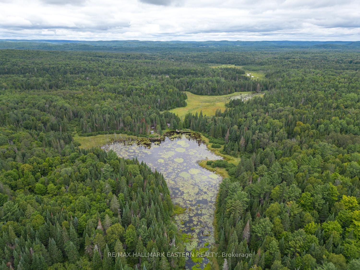 601 Old Detlor Road, Bancroft, ON K0L 2L0