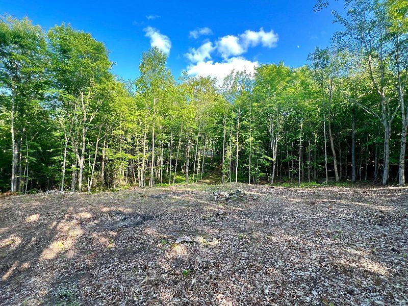 678 Centreview Road, Hastings Highlands, ON K0J 1L0