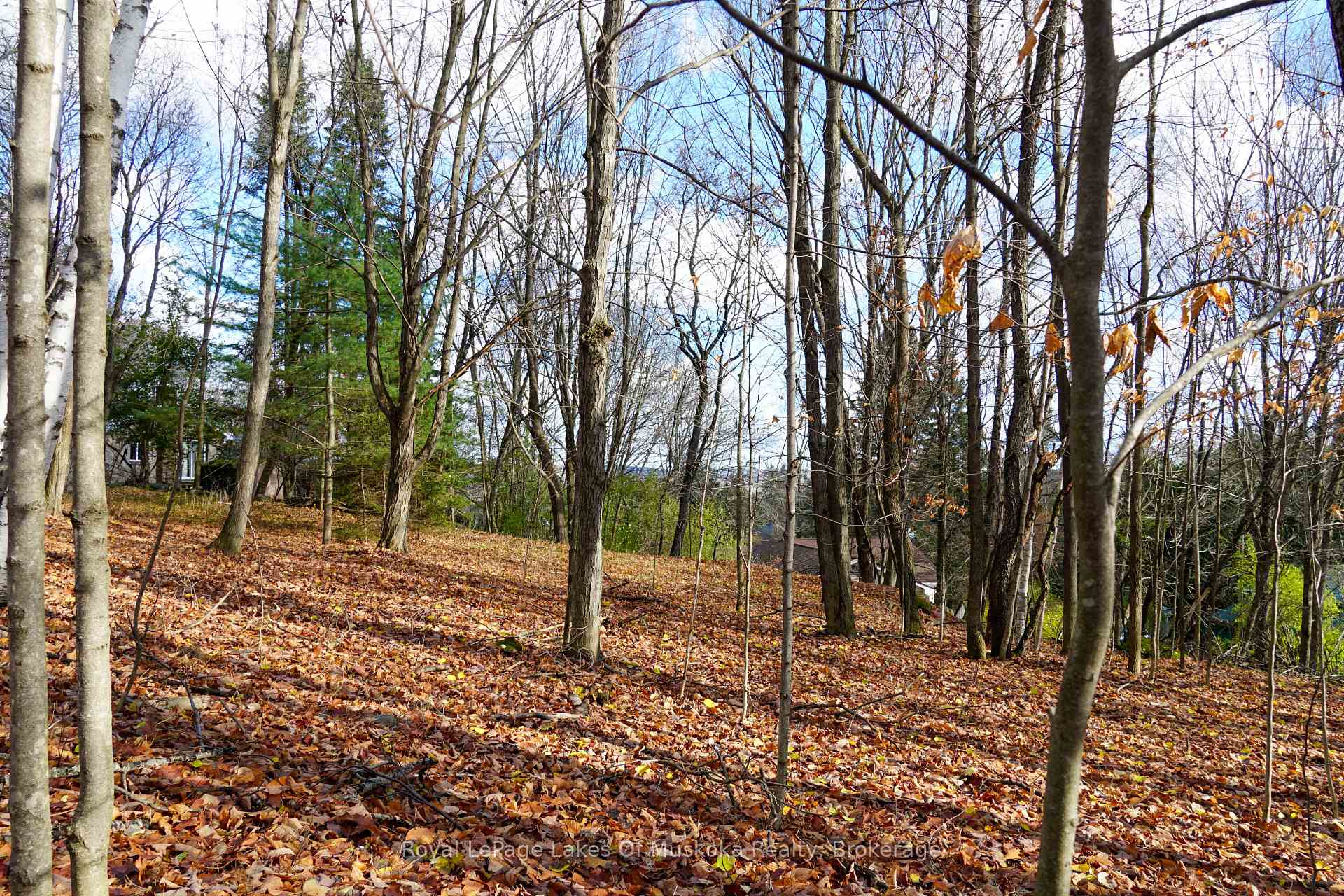 8 RICE Lane, Huntsville, ON P1H 1V4