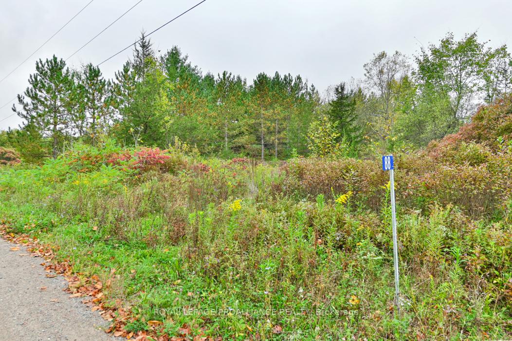 88 Conchie Road, Tweed, ON K0K 3J0