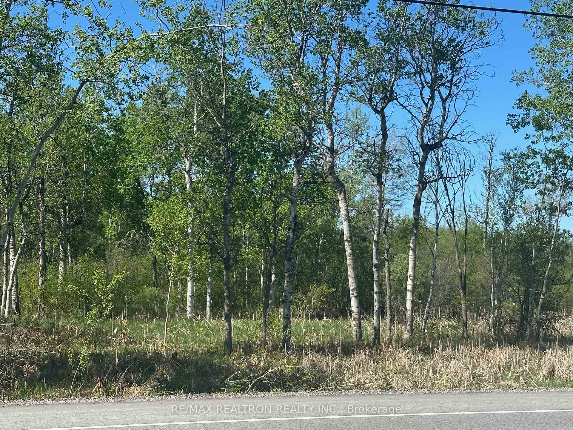 CON 7 PT LOT 1 Ravenshoe Road, Georgina, ON L0E 1R0