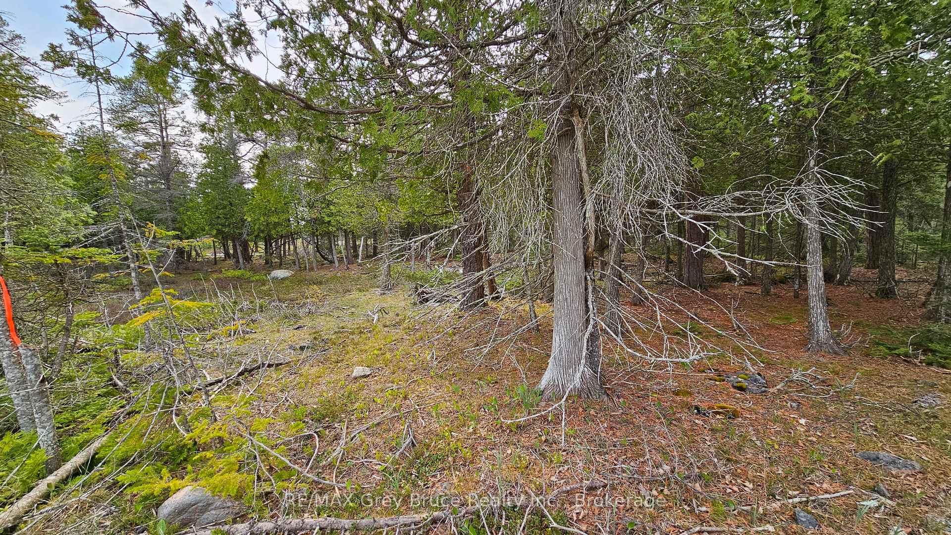 LT 255 Pedwell Pt. Drive, Northern Bruce Peninsula, ON N0H 2R0