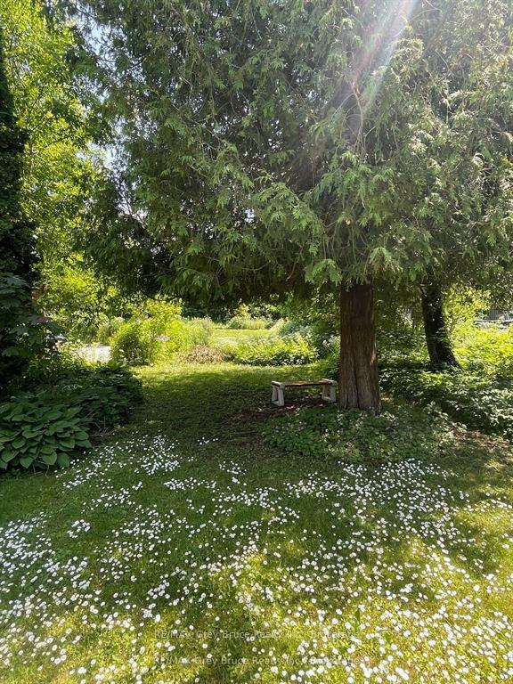Owen Sound, Owen Sound Real Estate Listings