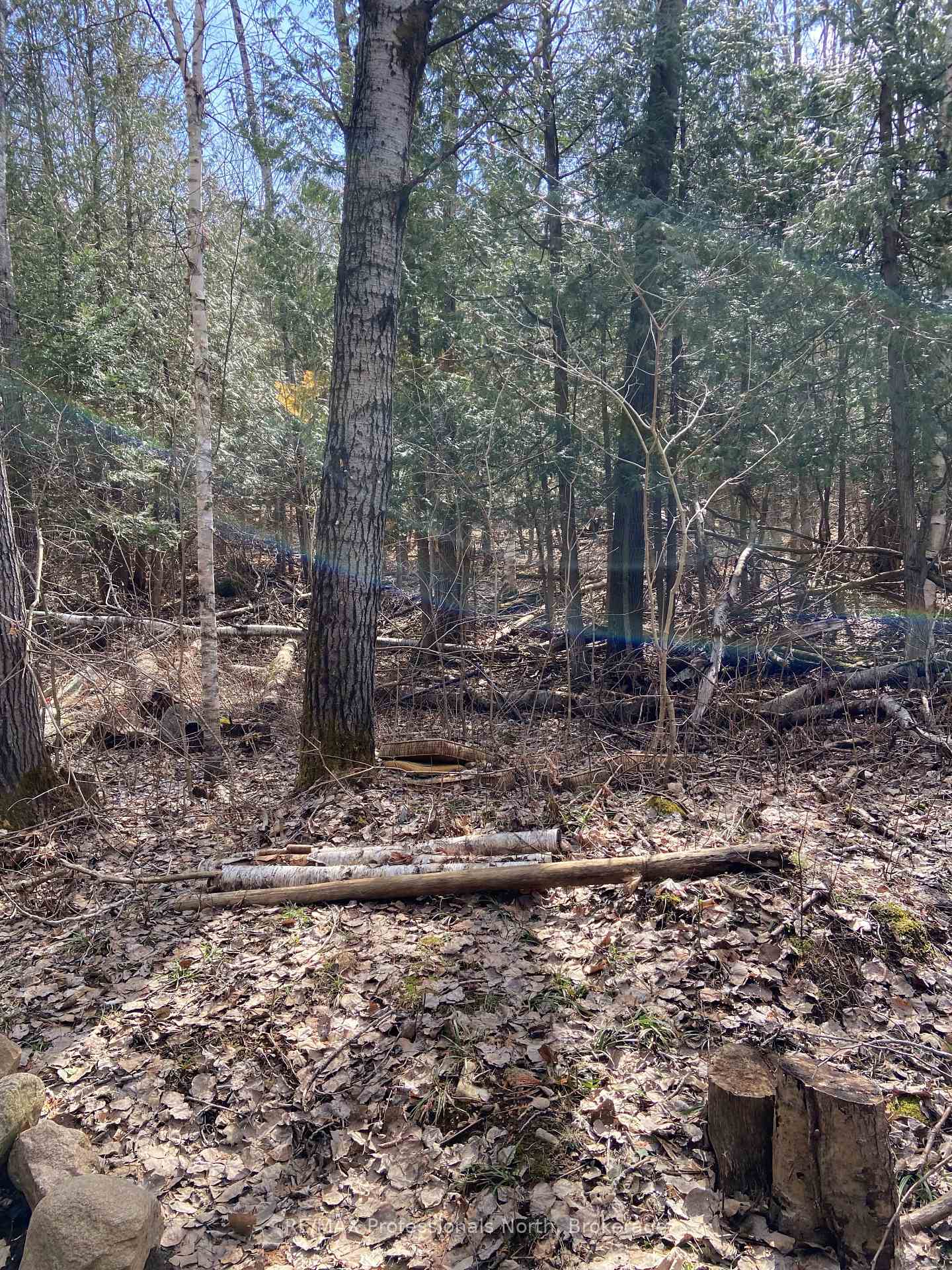 Chelsea Lane, Algonquin Highlands, ON K0M 1J0