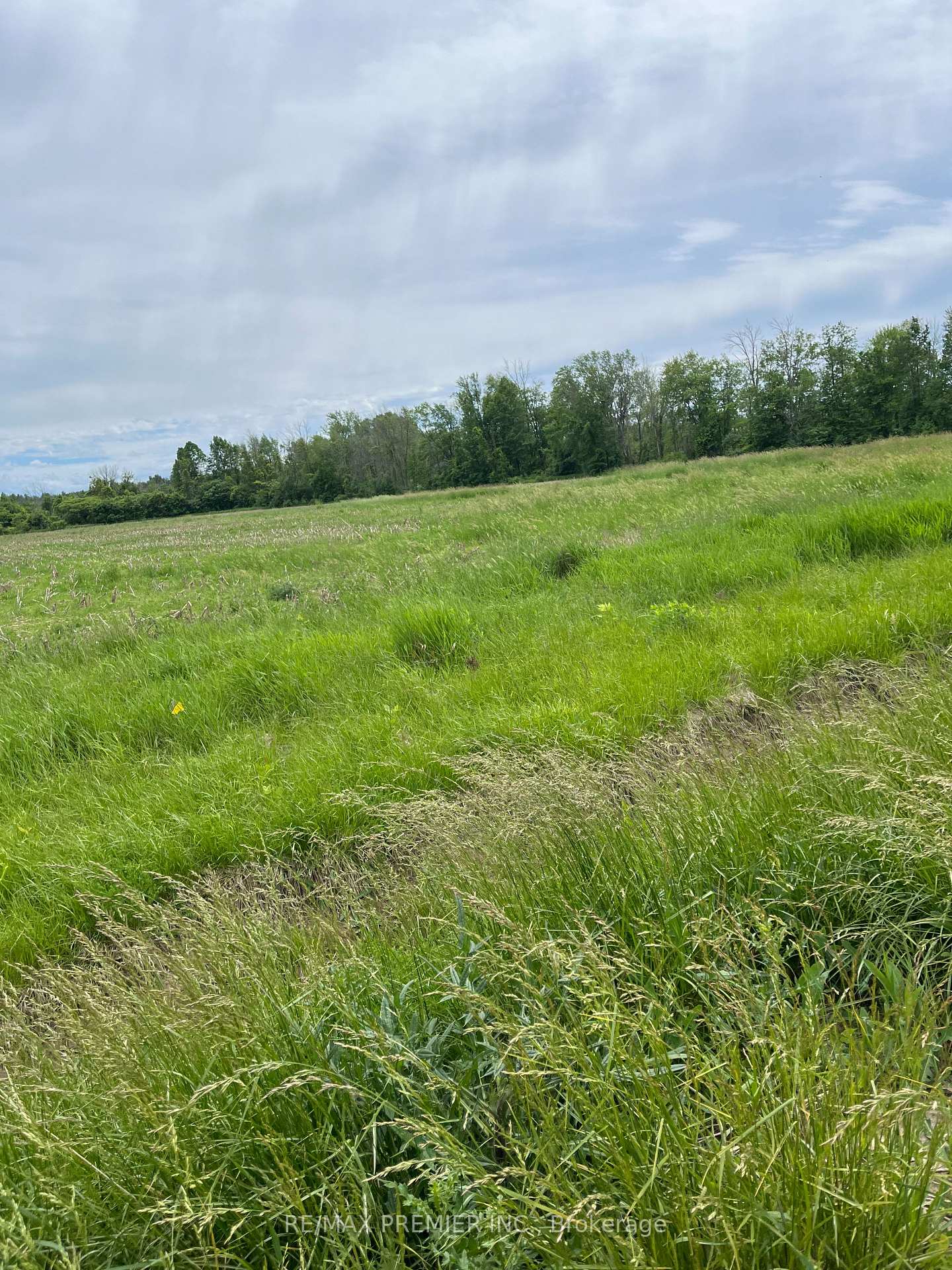 Highway 48, Georgina, ON L0E 1N0