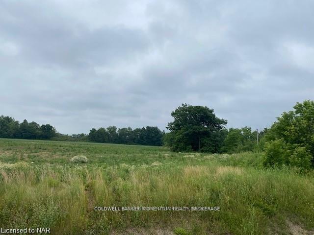 Spring Creek Road, Lincoln, ON L0R 2C0