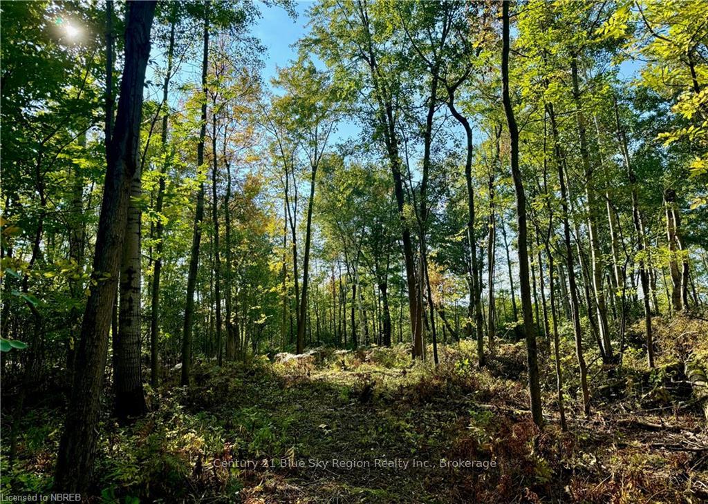 PART 3 LOT 26 TILLICUM BAY Road, Callander, ON P0H 1H0