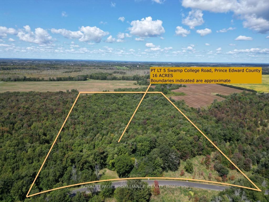 PT LT 5 Swamp College Road, Prince Edward County, ON K0K 2J0