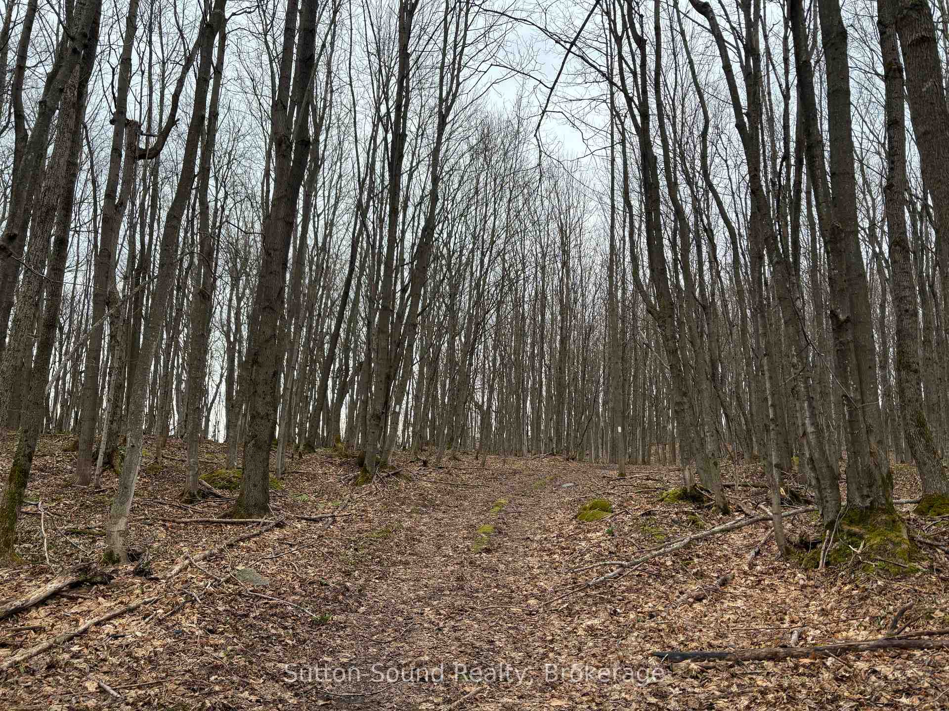 PT LT 9 CON 14 EBR PT 33 Concession, Northern Bruce Peninsula, ON N0H 1W0