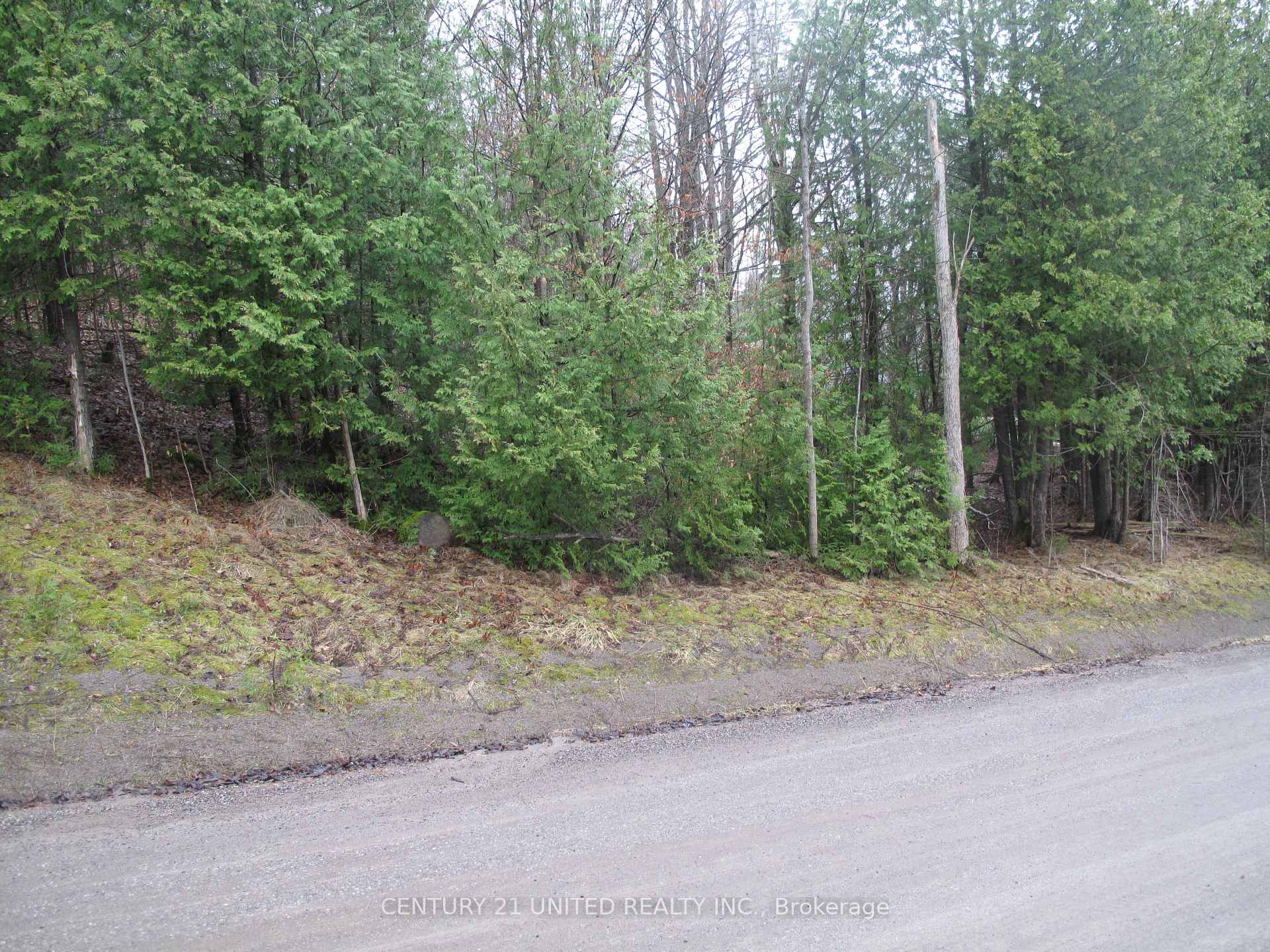 Trent Hills Real Estate MLS® Listings & Houses For Sale